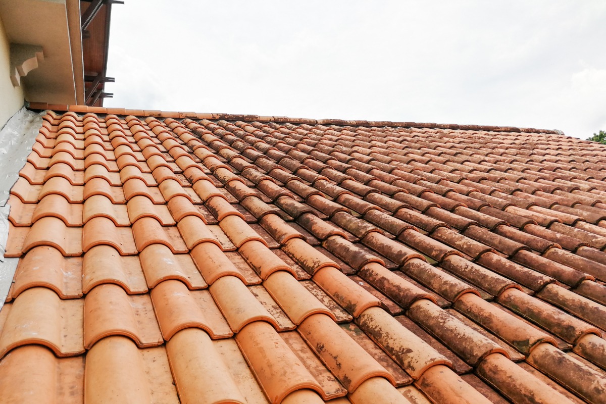 Removing Fungus From Roof Shingles at Alexandra Duigan blog
