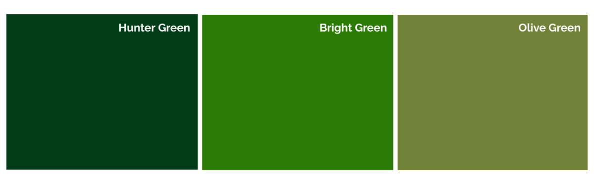 Top 14 Accent Wall Colors to Go with Tan (Designers' Picks)