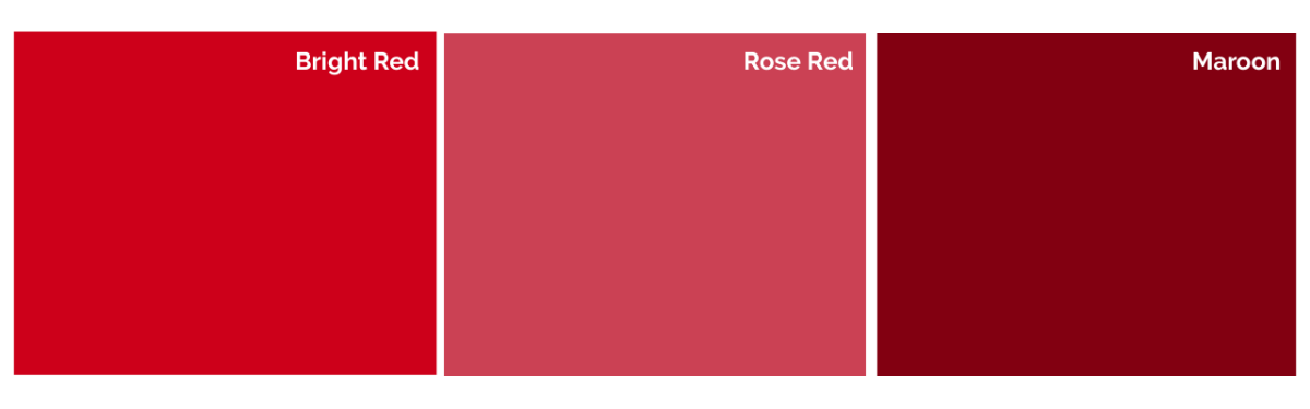 Top 14 Accent Wall Colors to Go with Tan (Designers' Picks)